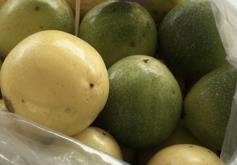 %LIST OF % FRUITS GROWN IN %TRINIDAD AND %TOBAGO